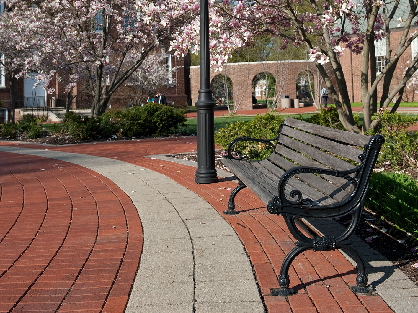 Academic Warning Chart - Advising Central